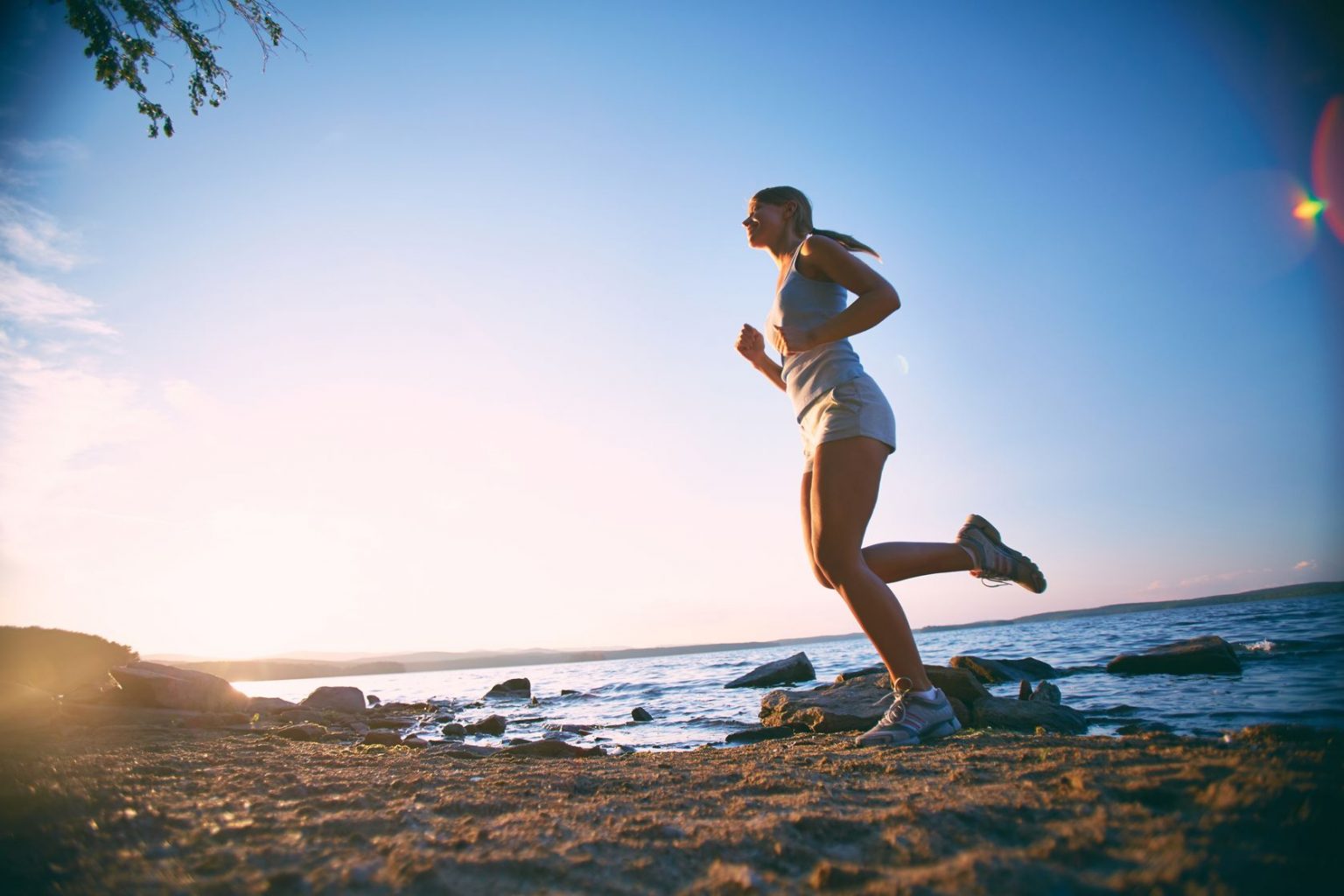 MIC & B12 Injections