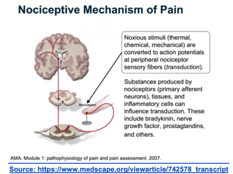 Mechanism of pain